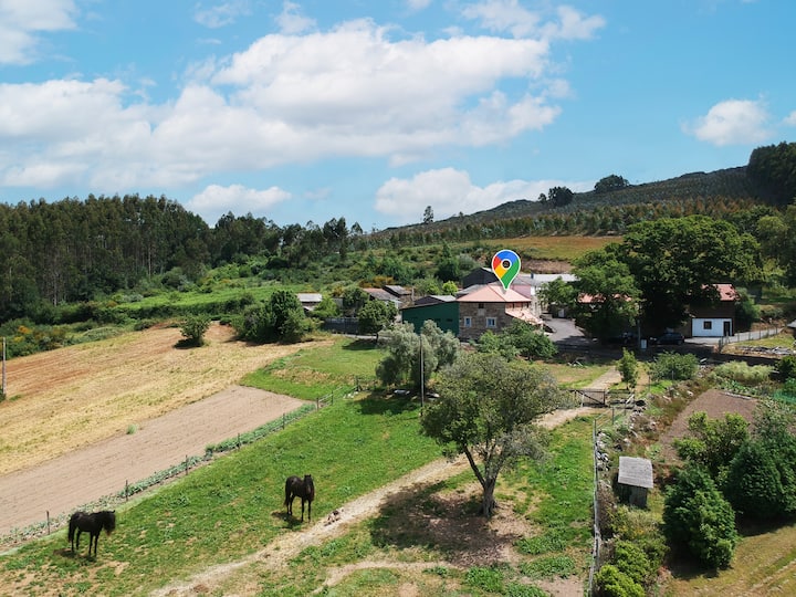 Ag Casa Brañas, En Aldea Rural Gallega - Guitiriz