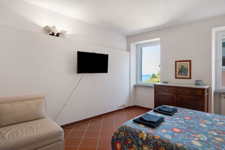 Casestate Home Abroad - Starfish - Manarola