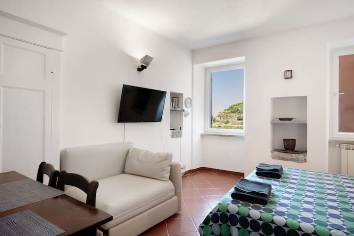 Casestate Home Abroad - Dolphin - Manarola