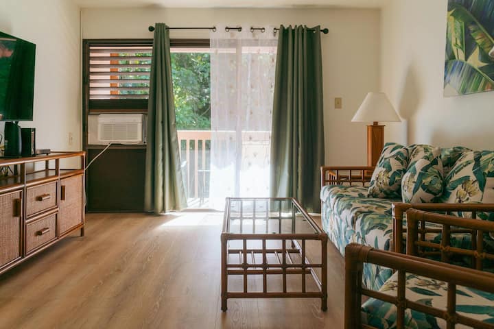 One Bedroom Condo | Across From The Beach - Kauai, HI
