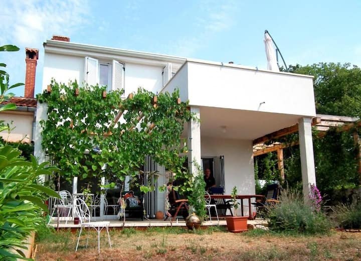 Appartement Ari I Segi (120201-a1) - Cittanova