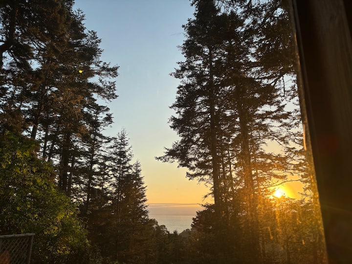 Redwoods Oceanview Retreat - Navarro River Redwoods State Park, Elk