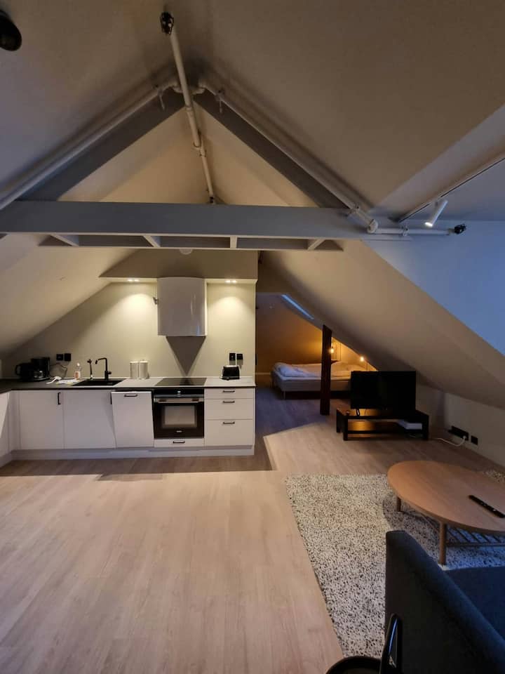 Central Studio For 2 In Trondheim - Trondheim
