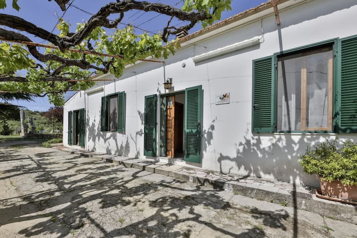 Podere Al Buraccio - Il Mosto Camera Matrimoniale - Elba