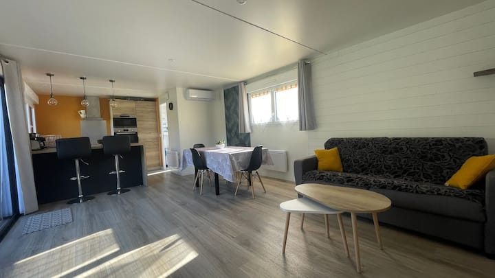 Spacieux Bungalow Avec Piscine Et Jacuzzi Chauffés - Les Mathes