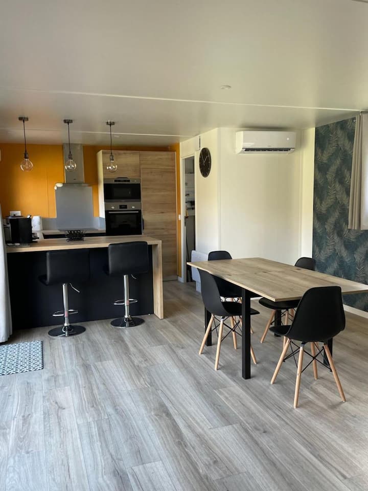 Spacieux Bungalow Avec Piscine Et Jacuzzi Chauffés - Les Mathes