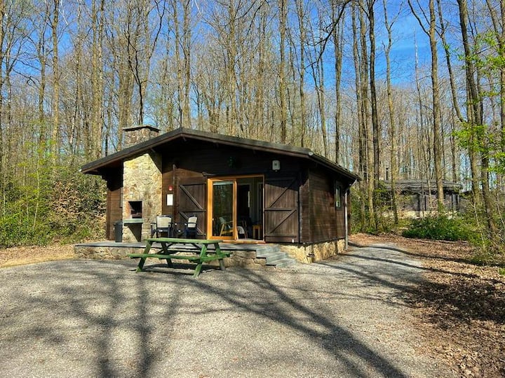 Lijsternest - Oignies 30 - Viroinval