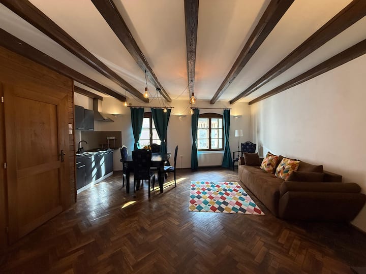 Felinarului 6 - Green Apartment - Sibiu