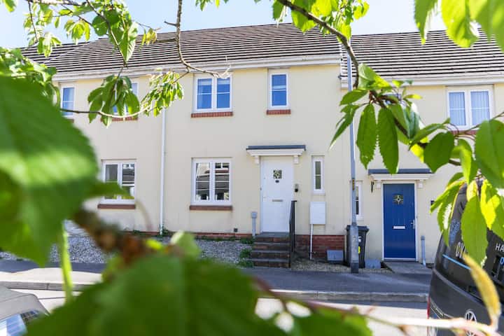 Canyke Fields - Bodmin