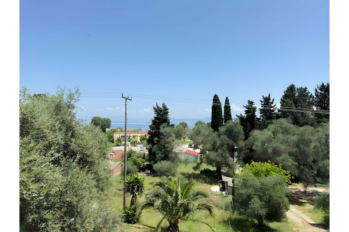 Villa Konstantina - Kavos