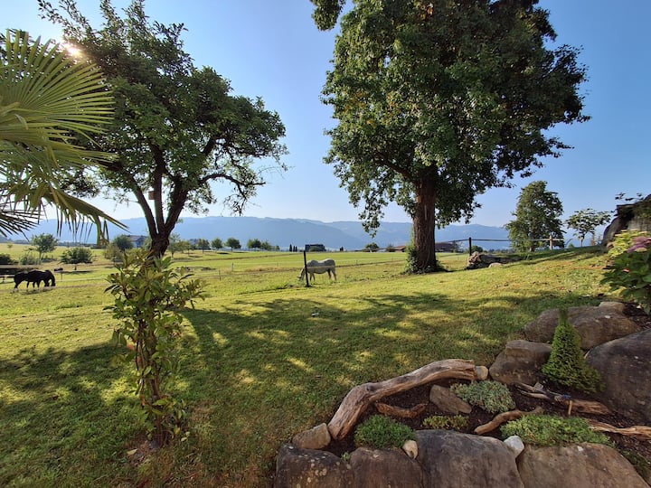 Tobel Lounge - Bregenz