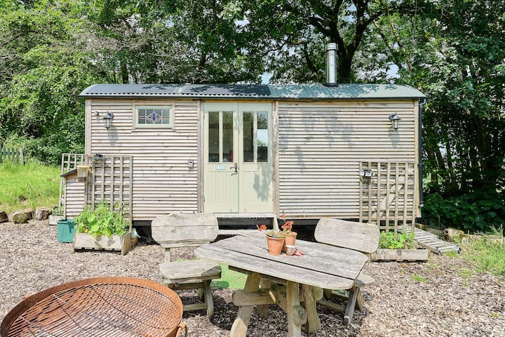 Host & Stay | Dipple Farm Shepherds Hut - Clovelly Beach