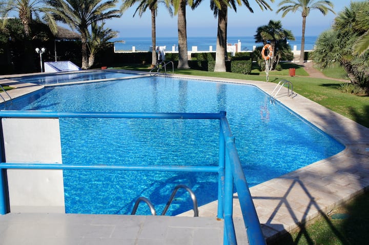 Albatros Gaby - Dénia