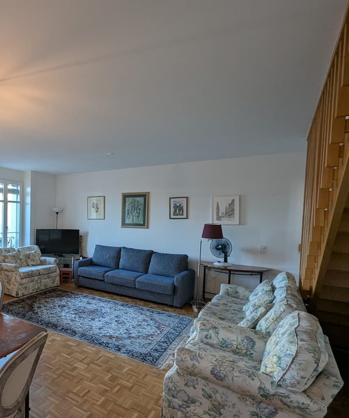 Rare Duplex  With Huge Terrace & Jet D’eau Views - Ginebra