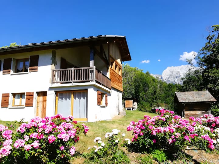 Gîte La Clé Des Champs - Thônes