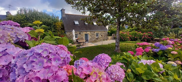 Gîte Penty à 800m De La Plage - Douarnenez