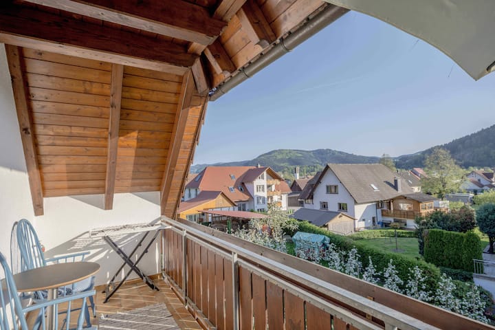 Ferienwohnung Panoramablick - Haslach im Kinzigtal