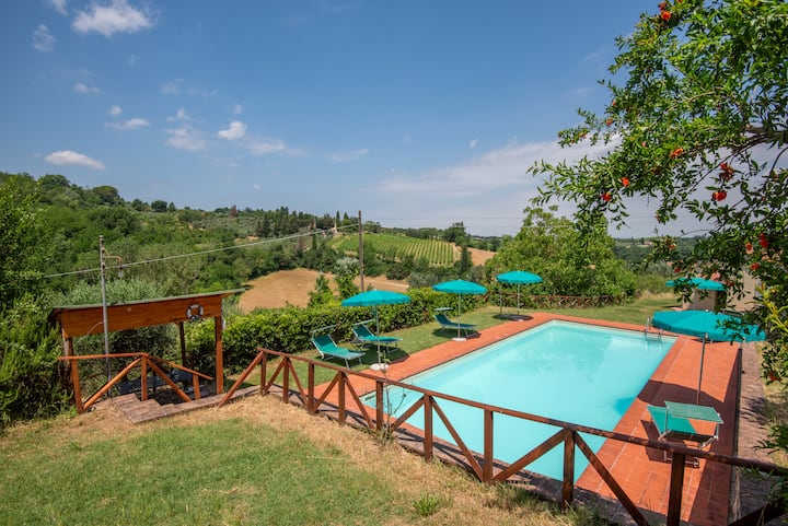 Uva - San Gimignano
