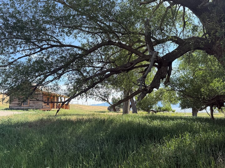 The Dovetail Cabin In Ennis - Ennis, MT