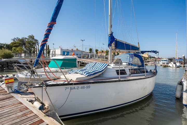 Velero En El Corazón Del Puerto - Puerto Real