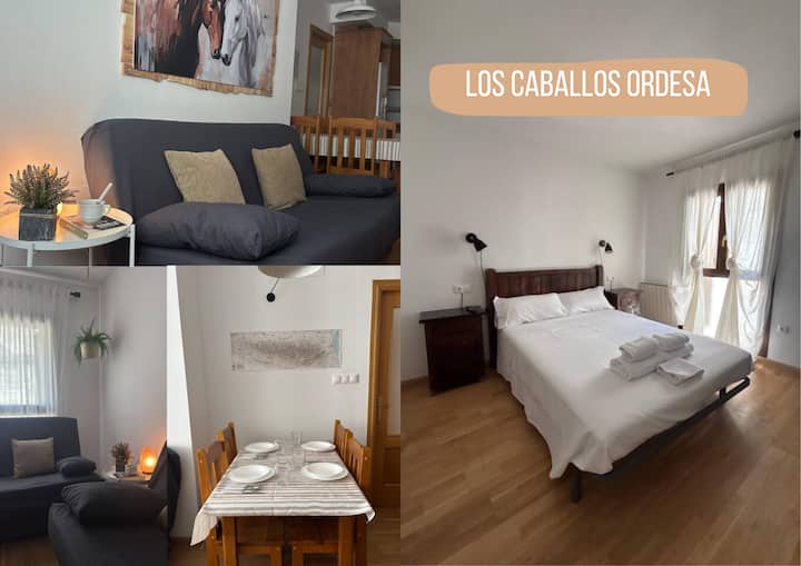 Los Caballos Ordesa L Garaje L Céntrico - Broto