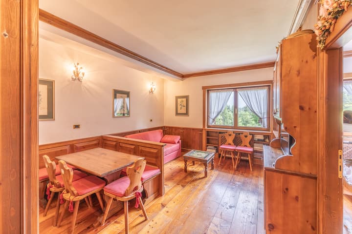 Casa Crignes, Close To The Center Of Cortina - Cortina d'Ampezzo