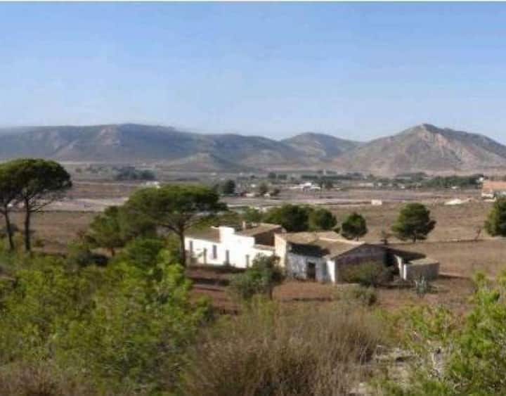 Miramontes - Vilhena