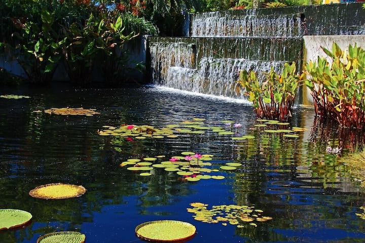 Naples Escape In 2 Rooms With Outdoor Pools - Naples, FL