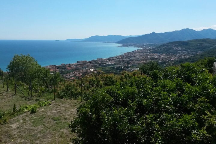Velia |Live Active|rest Easy|stay A-bove - Borgio