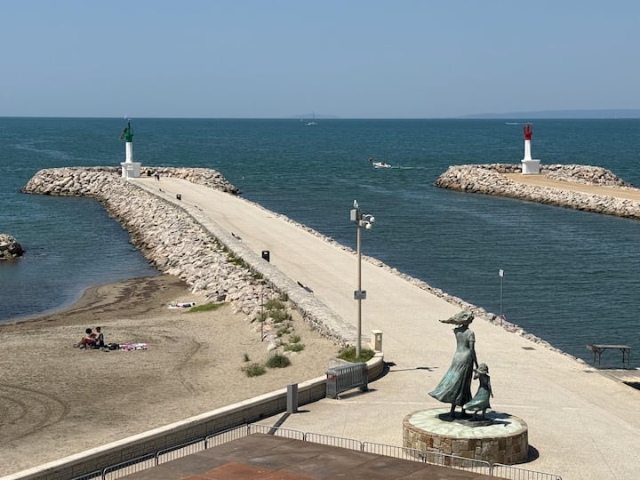 Superbe T3 Traversant Avec Terrasse Face Au Chenal - Aigues-Mortes