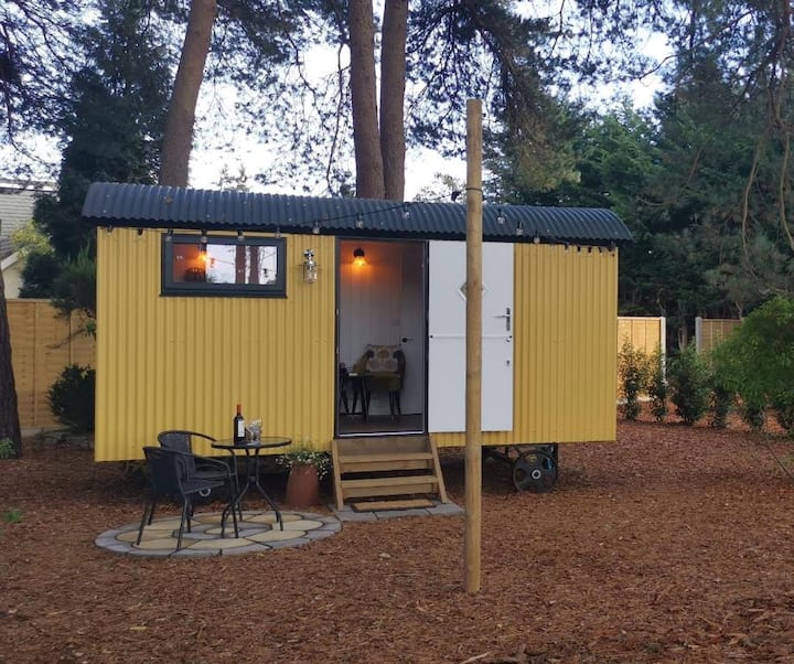 Forest Heath Shepherd's Huts- Yellow Hut - Hampshire
