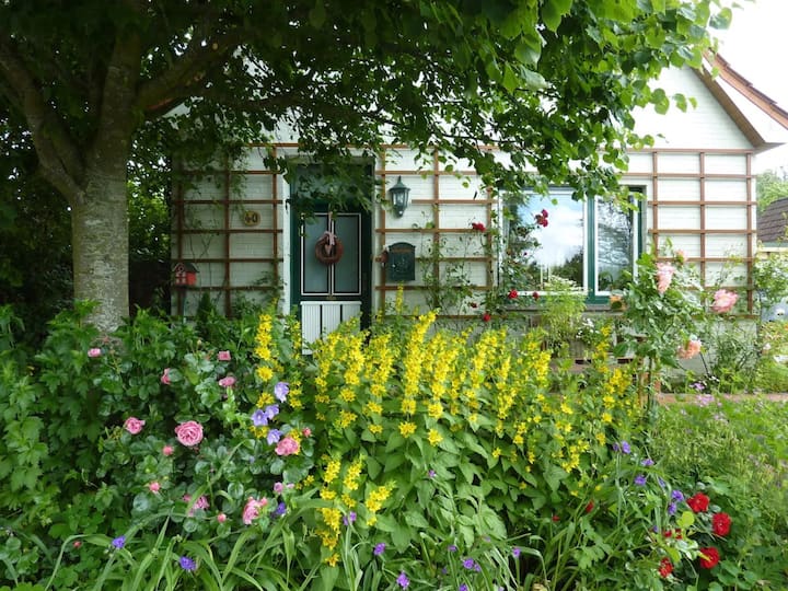 Ferienwohnung Wunschgarten - Wesselburen