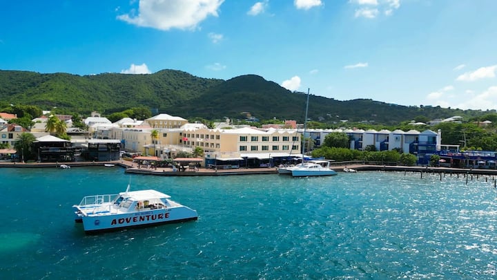 City Lights X 3 | 3 Rooms, Queen Beds + Urban View - Saint Croix