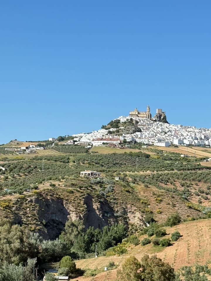 Casa Las Niñas - Olvera