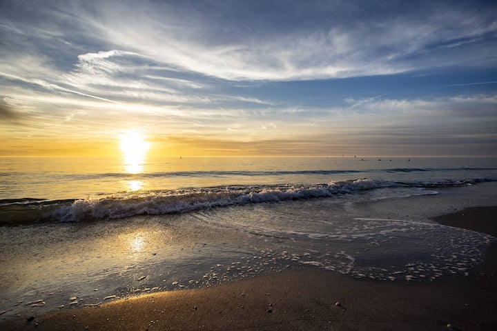 “Oasis” 1br – Private Patio, Walk To Beach & - Treasure Island, FL