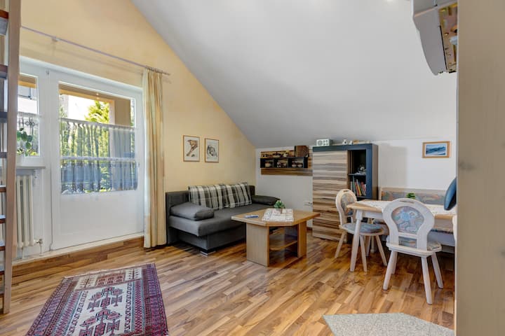 B Ferienwohnung, 30qm - Schramberg