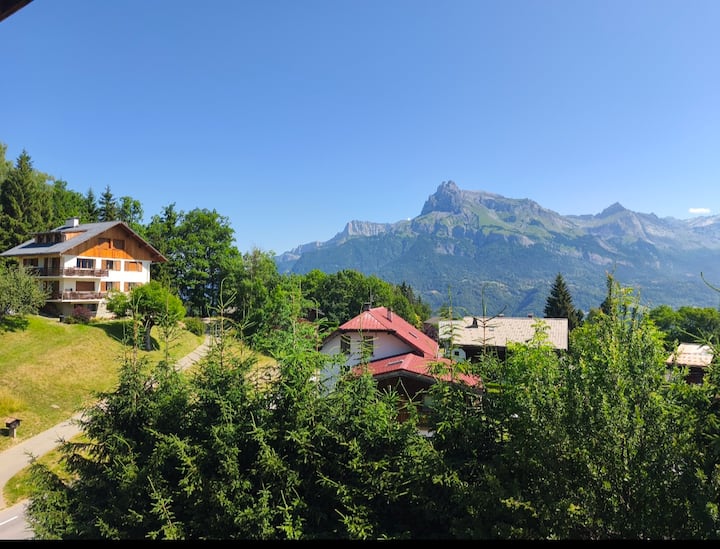 Logement De 167 M² Avec Vue Sur Le Mont Blanc - Passy