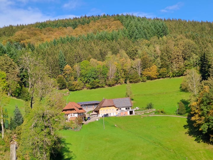 Ferienwohnung Leibgeding - Wolfach