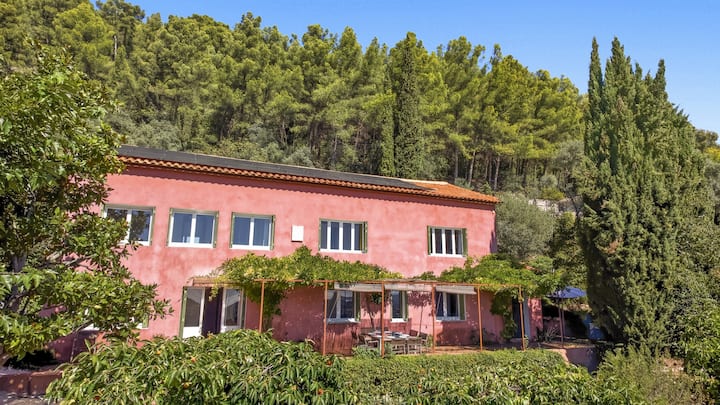Maison 10p • Vue Panoramique • Grande Terrasse - Solliès-Pont