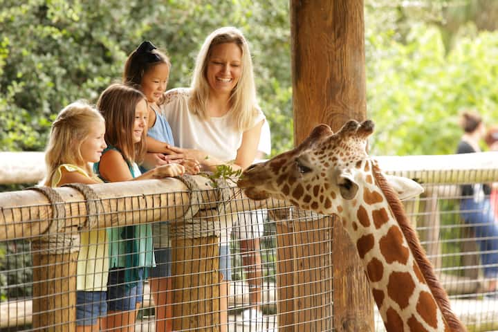 Scenic Stay  | Themed Museums . Free Breakfast - Jacksonville, FL