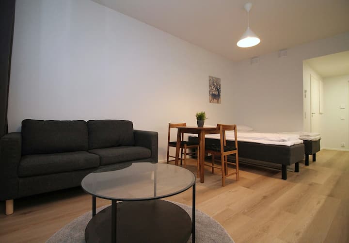 Central Studio For 2 In Pitkämäki Turku - Turku