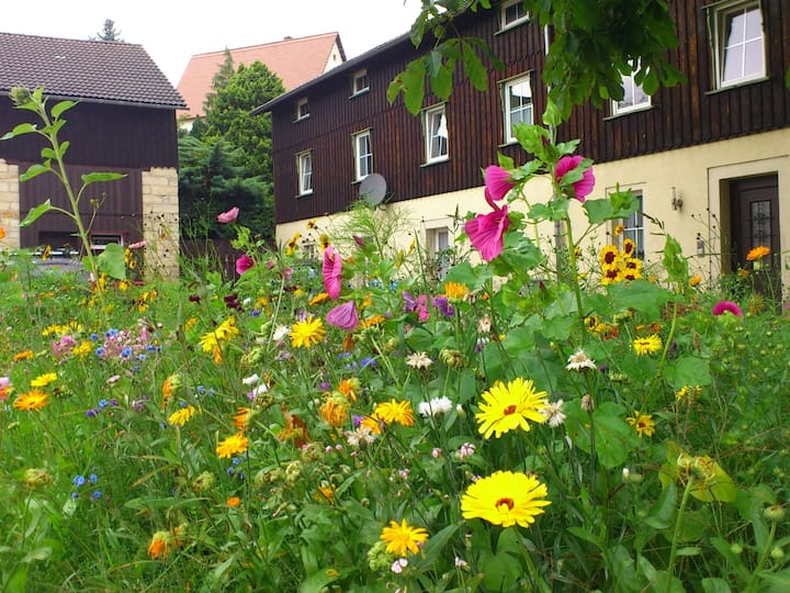Chicke Ferienwohnung In Struppen - Struppen