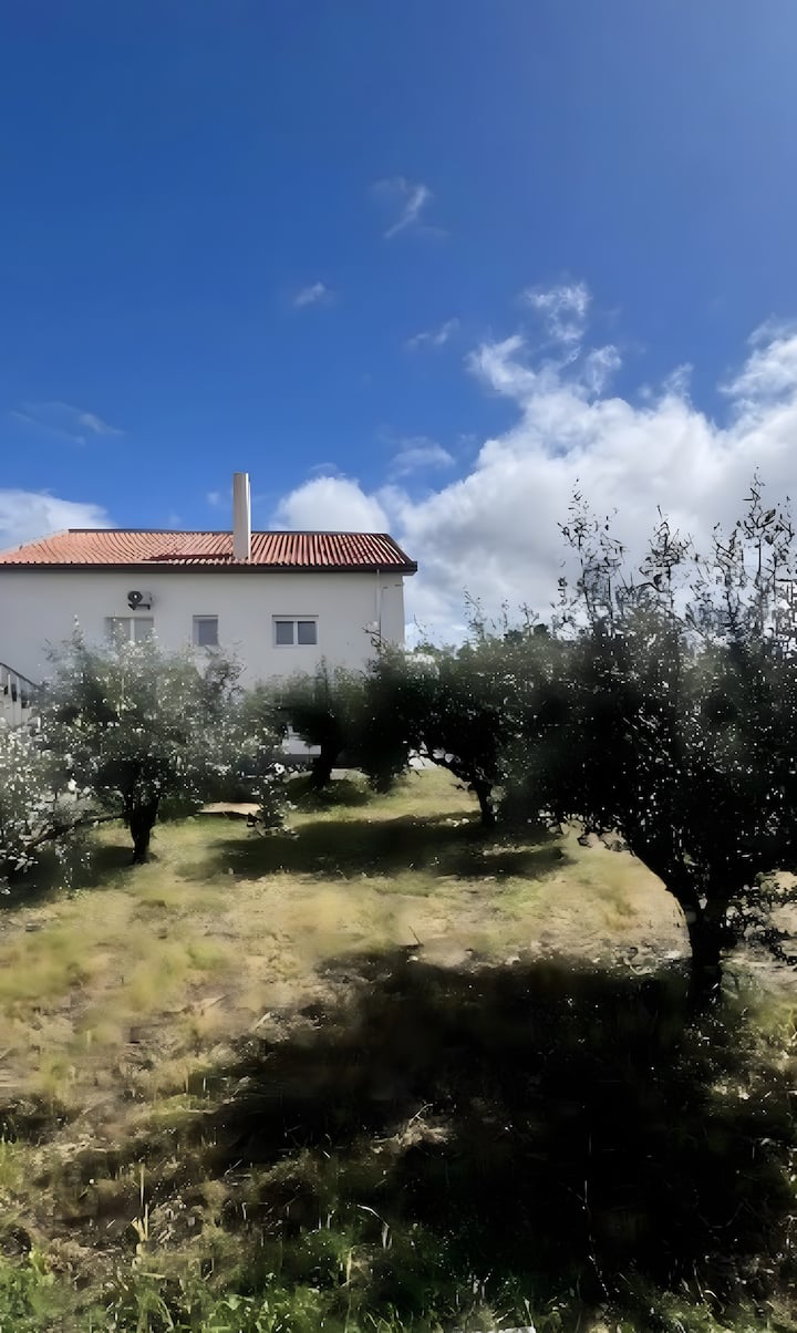 Quarto Santo Agostinho - Fátima
