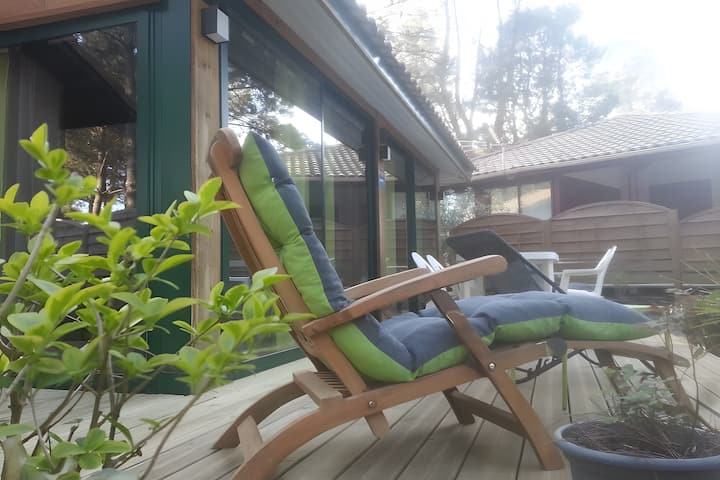 Maison, Piscine Sous Les Pins - Vieux-Boucau-les-Bains