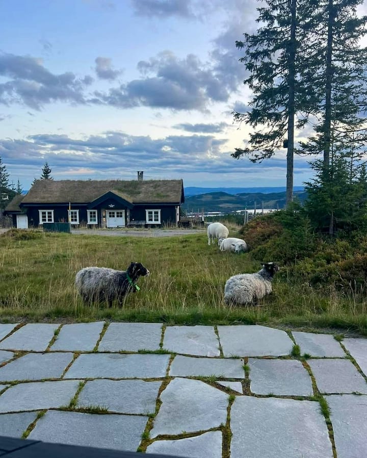 Authentic Family Cabin Experience At Sjusjøen - Norvège