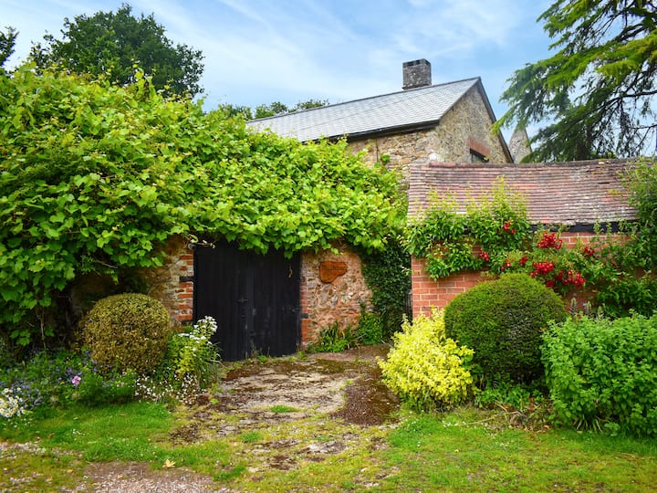 Millhouse - Uk50077 - Sidmouth