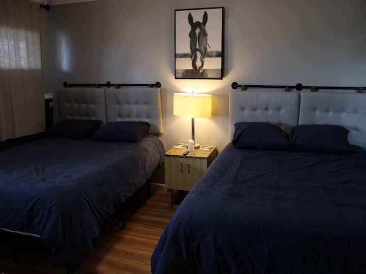 2 Lits Queennes Non-fumeurs - 比利時