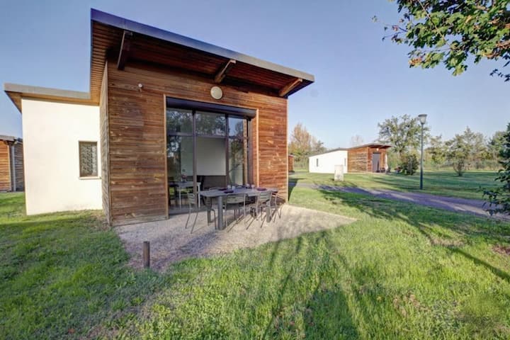 Lièvre - Andrézieux-Bouthéon