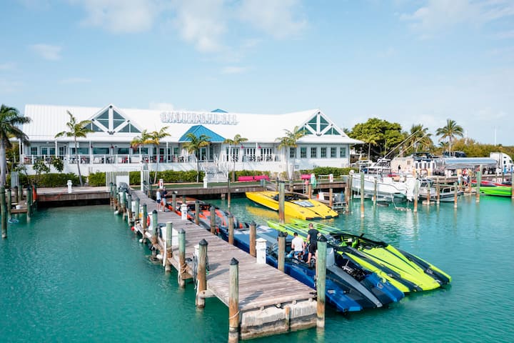 Island Junior Suite W/ Dolphin Encounters & Pools - Duck Key, FL