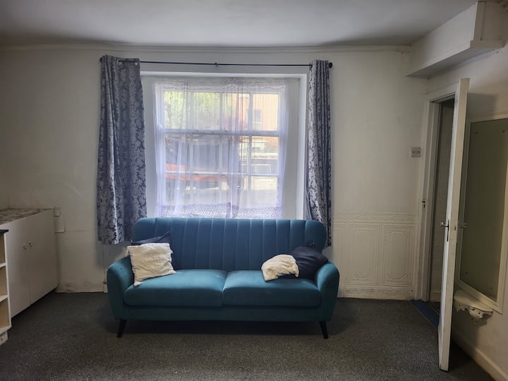 Dublin Appt-sleeps 4-free Parking-garden - Dun Laoghaire-Rathdown